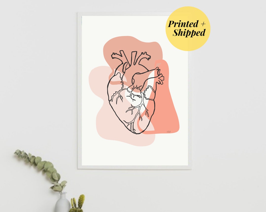 Heart Line Abstract Minimal Print | Anatomy Heart Picture Medical Photo ...