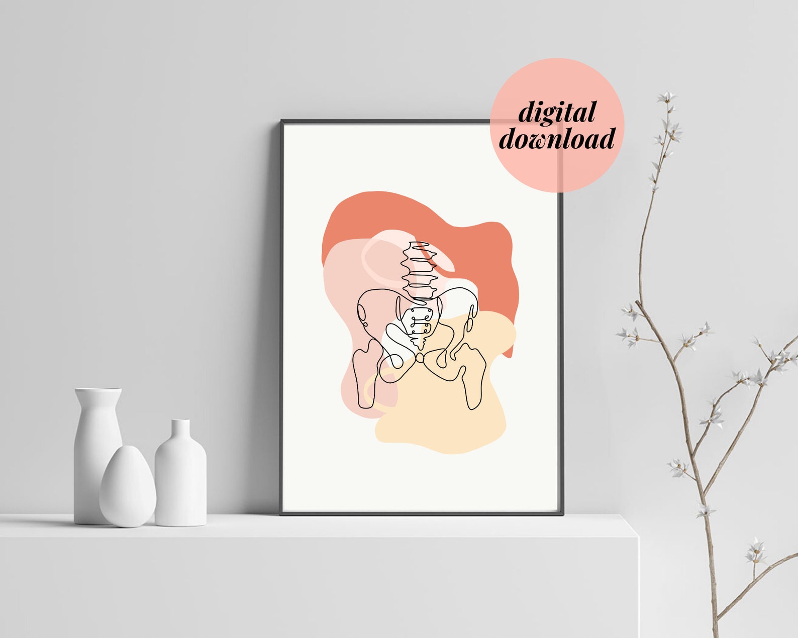 Pelvis Printable Updated Pelvic Bone | Line Art Anatomy Illustration ...