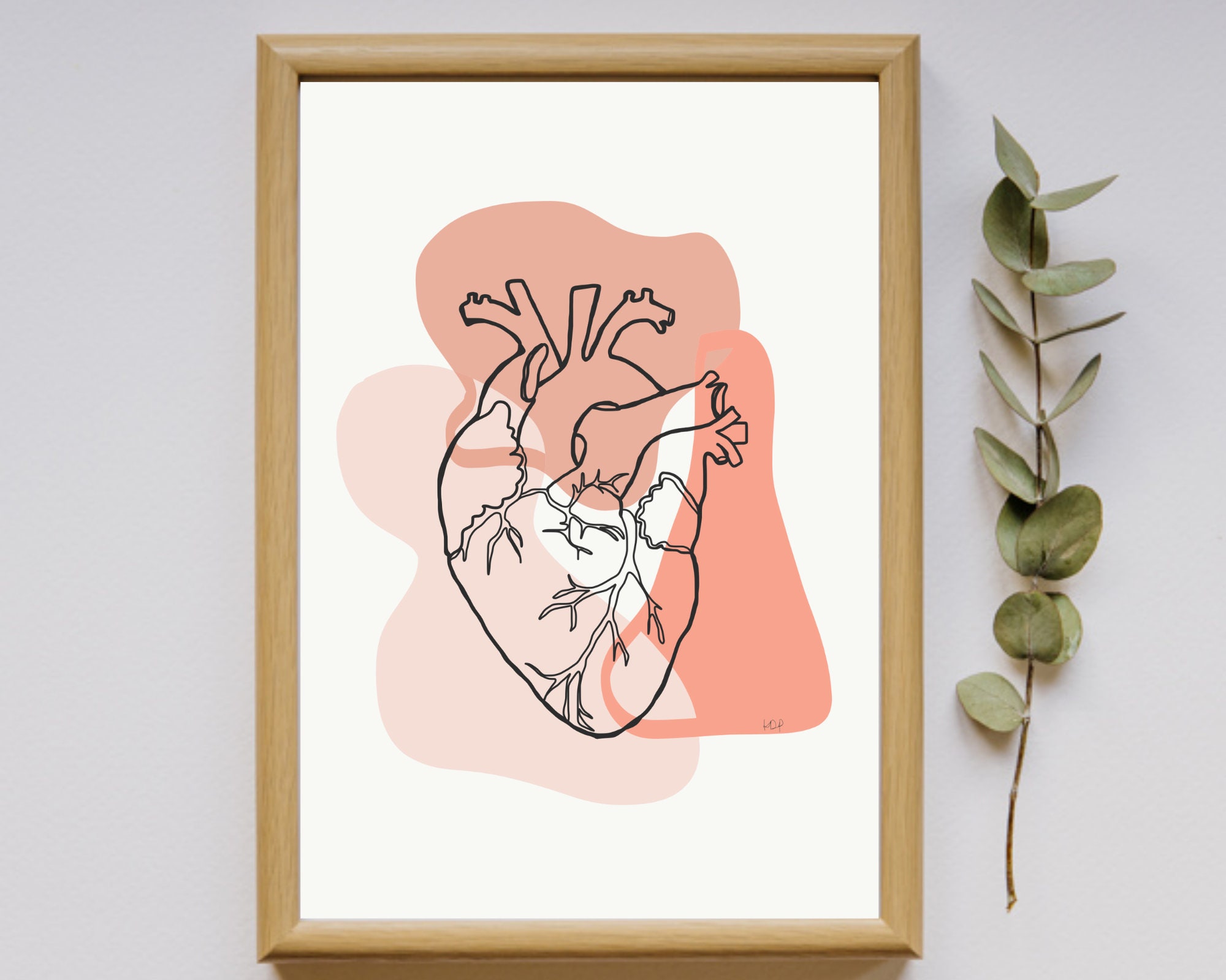 Heart Anatomy Minimalist Abstract Illustration Art Modern Anatomical ...