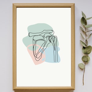 Shoulder Printables | Shoulder Blade Scapula Line Art Anatomy ...