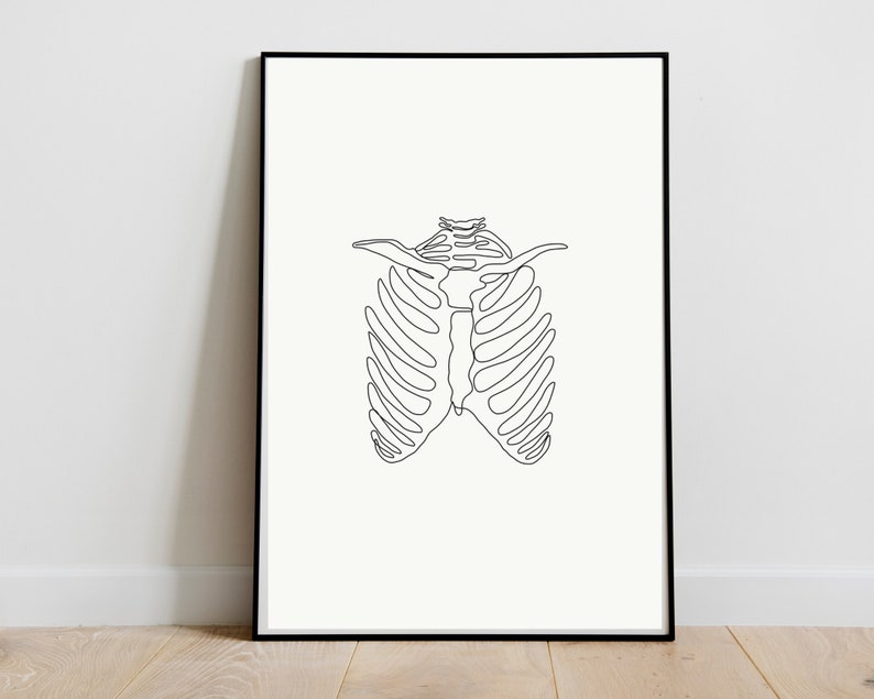 Line Rib Cage and Chest Bones Anatomy Drawing Minimalist Abstract ...