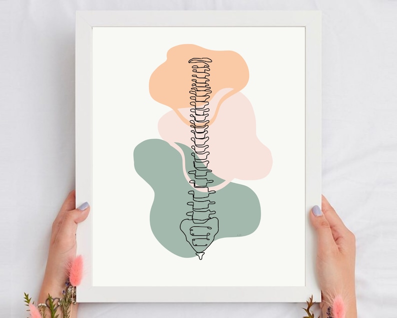 Spine Full Front View | Anatomy Minimal Abstract Art Print Medical Wall ...
