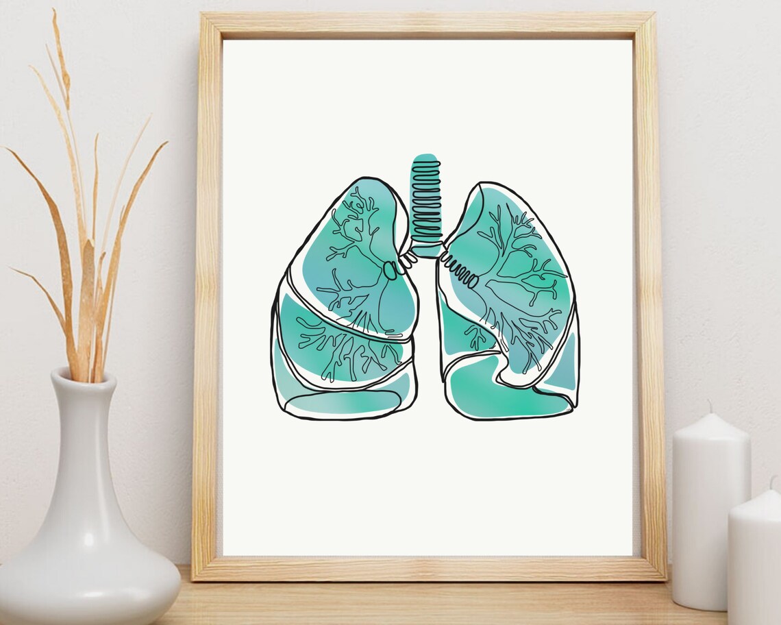 Lung Anatomy Print Trachea Bronchioles Minimalist Human - Etsy