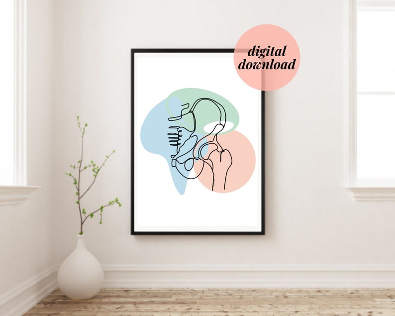 Half Pelvis Printable Pelvic Bone | Line Art Anatomy Illustration ...