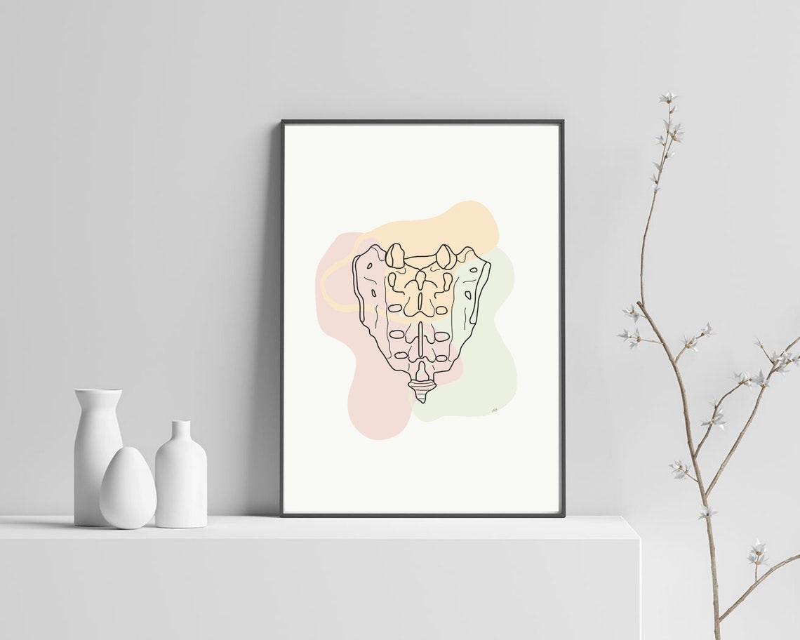 Sacrum Spine Anatomy Drawing | Sacral Coccyx | Abstract Illustrations ...