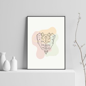 Sacrum Spine Anatomy Drawing | Sacral Coccyx | Abstract Illustrations ...
