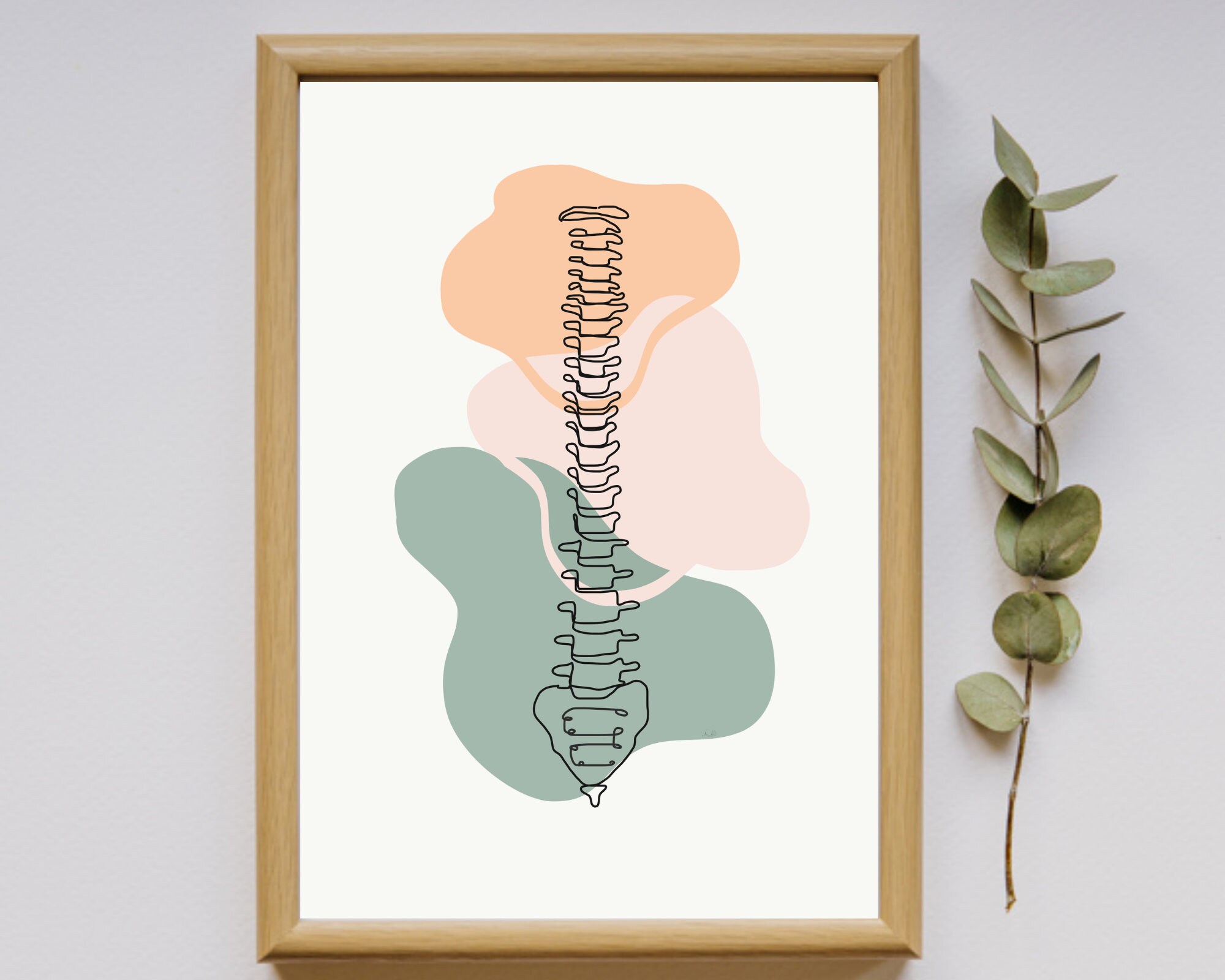Full Spine Front View | Spinal Column Line Anatomy Drawing Minimalist ...
