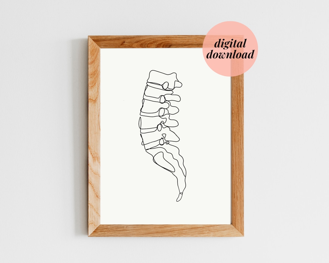 Lumbar Lateral View Minimal Anatomical | Line Anatomy Drawing ...