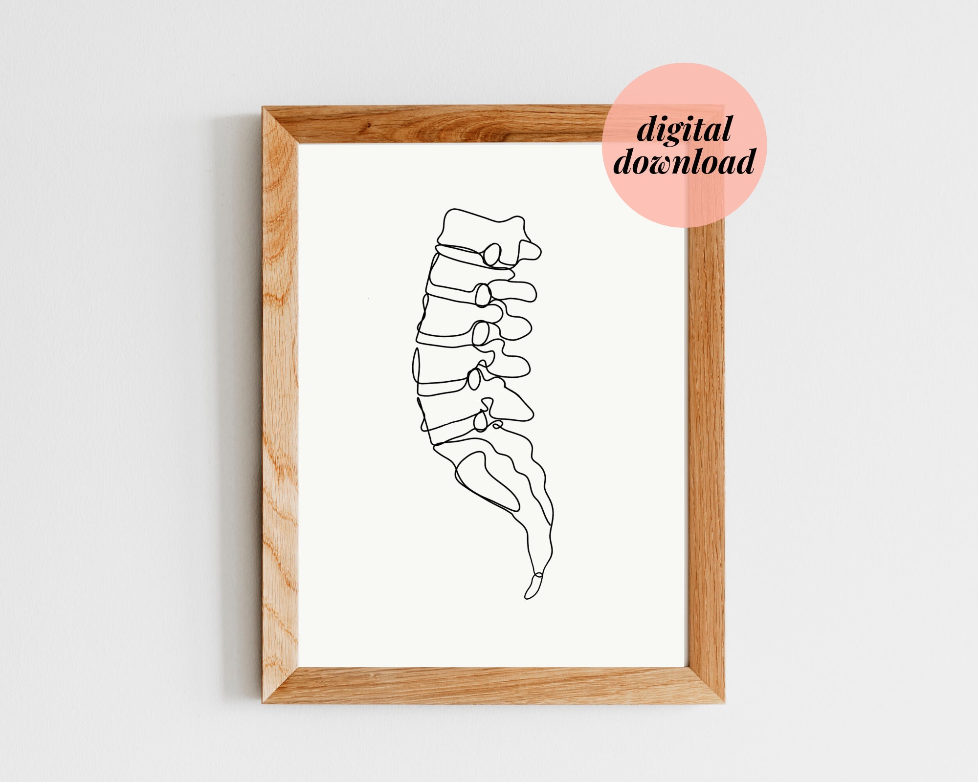 Lumbar Lateral View Minimal Anatomical | Line Anatomy Drawing ...