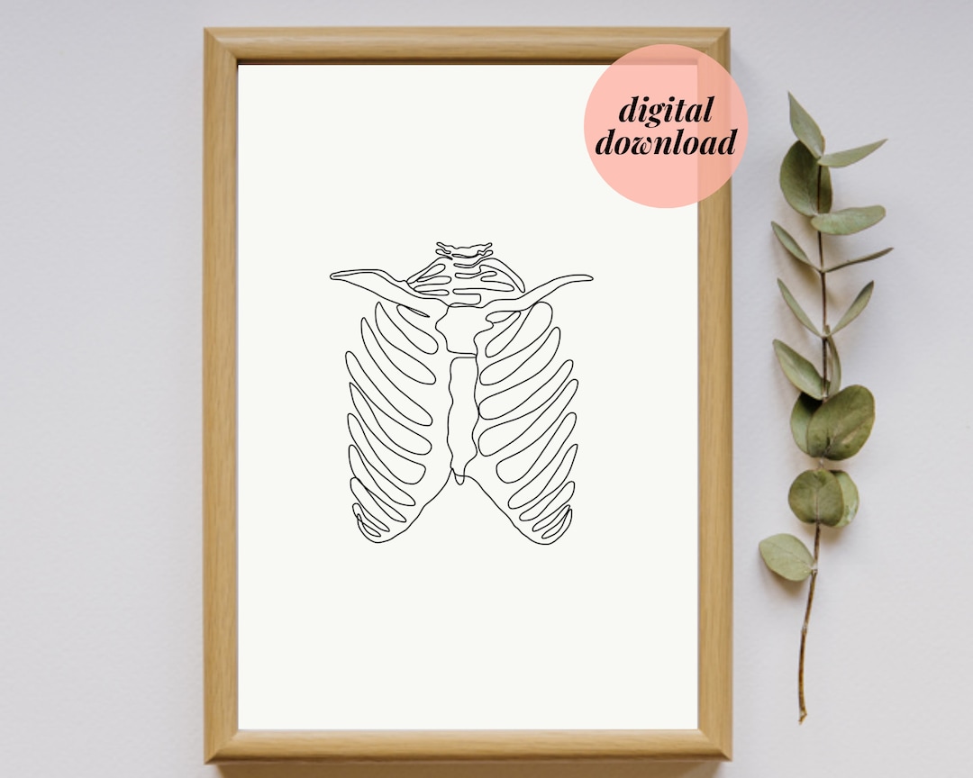 Line Rib Cage and Chest Bones | Anatomy Drawing | Minimalist Abstract ...