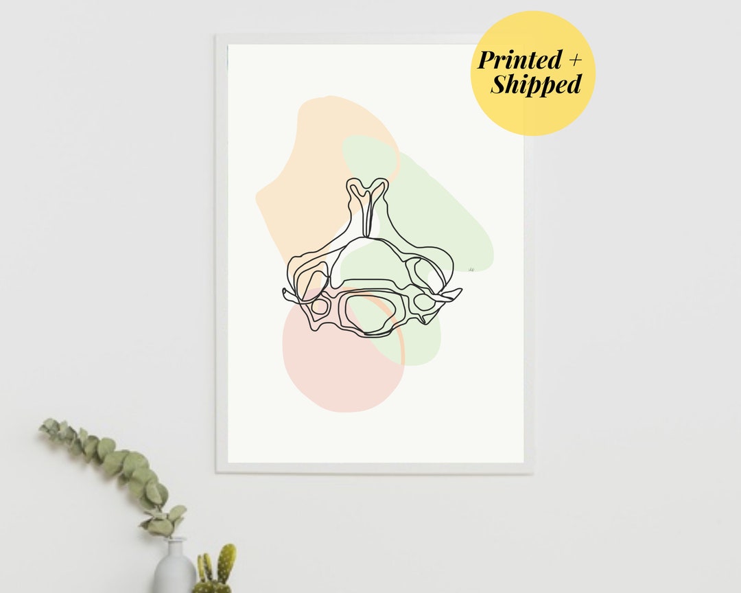 Cervical Vertebrae Abstract Line Print | Cervical Spine Human Anatomy ...