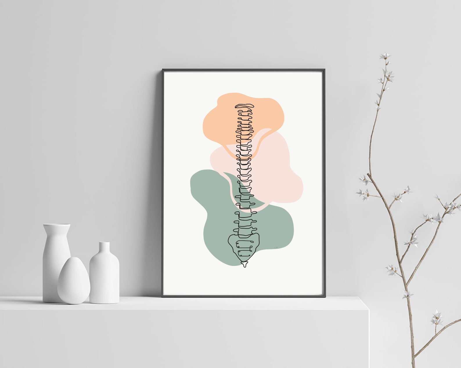 Full Spine Front View | Spinal Column Line Anatomy Drawing Minimalist ...