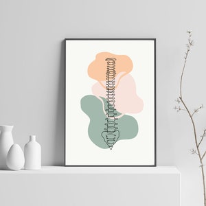 Full Spine Front View | Spinal Column Line Anatomy Drawing Minimalist ...