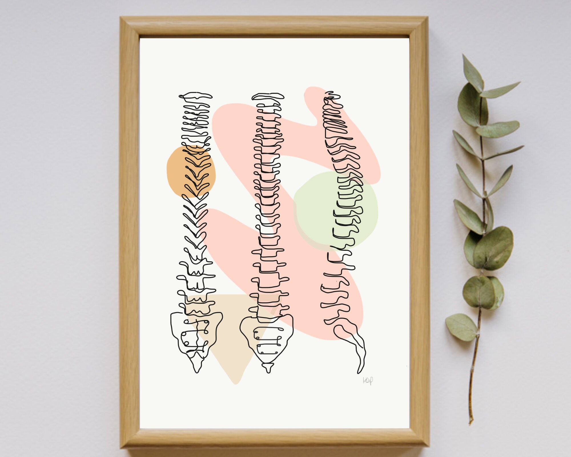 Spine 3 Views Minimal Anatomical Line Anatomy Drawing - Etsy Canada