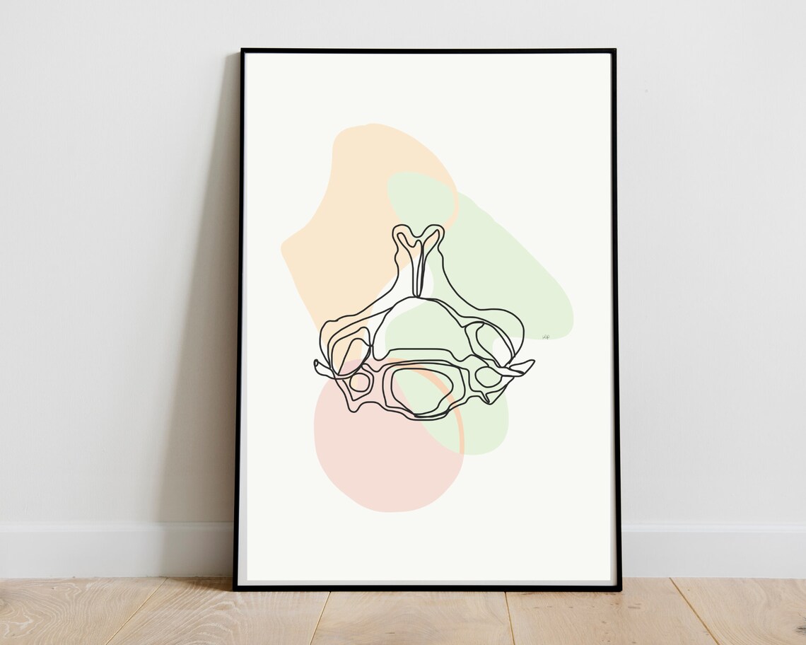 Cervical Spine Vertebra Bone Line Art Anatomy Drawing Minimalist ...