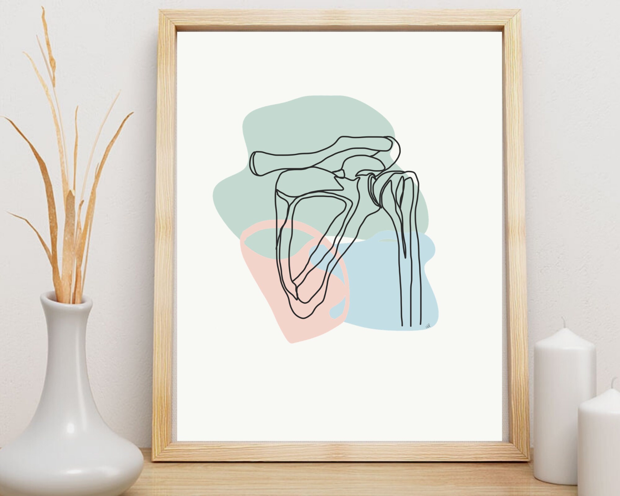 Shoulder Scapula Glenohumeral Abstract Line Drawing Chiro Art Bone ...