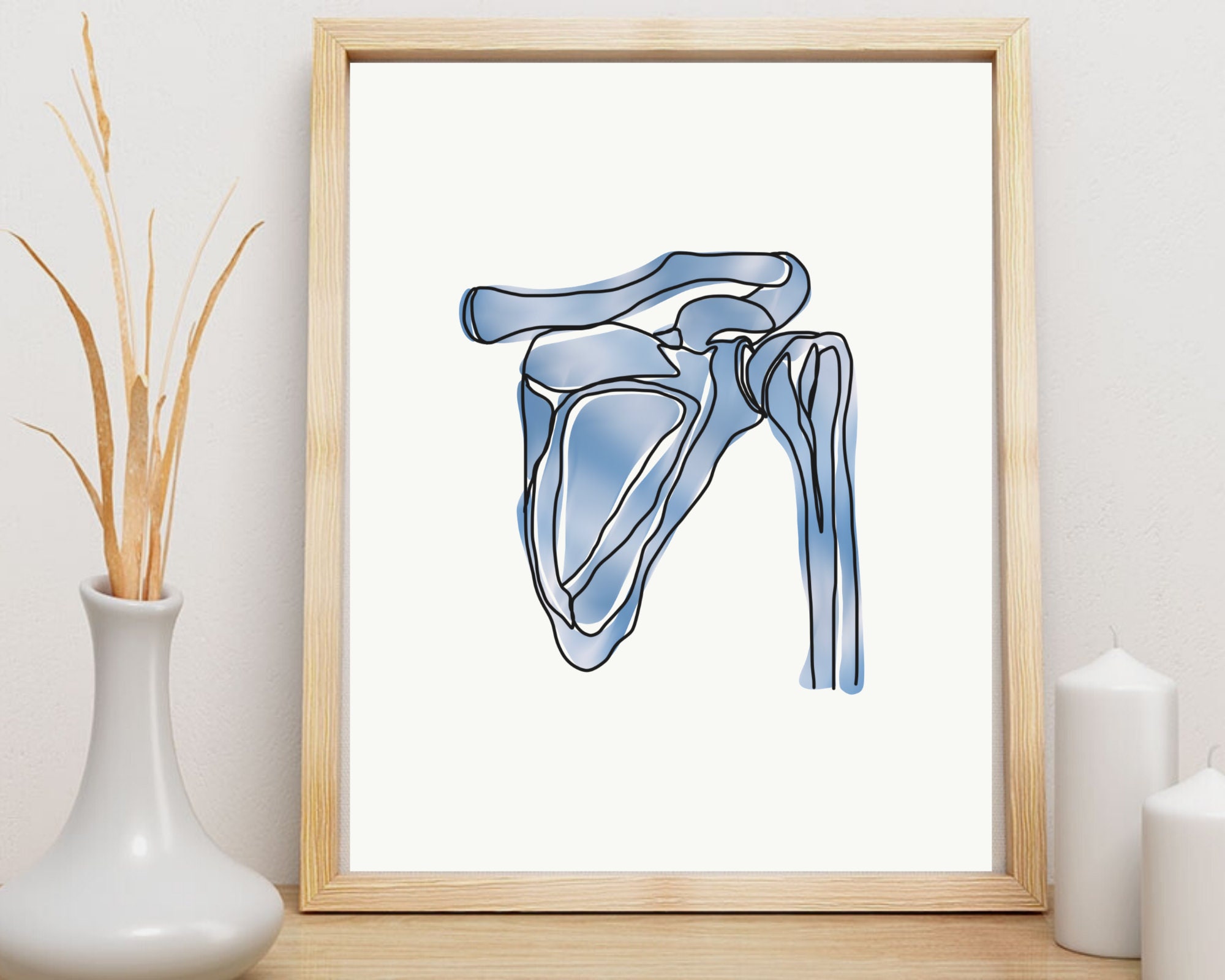 Blue Shoulder Scapula Minimal Anatomy Human Anatomical Line Orthopedic ...