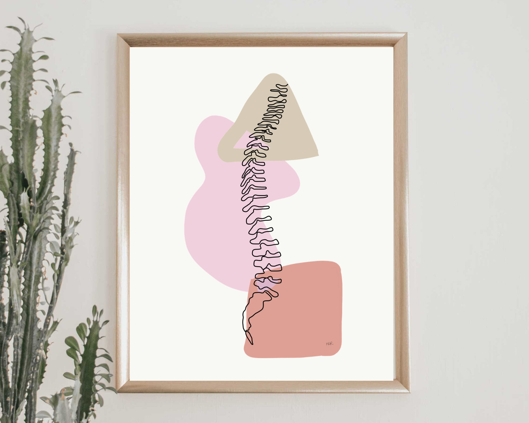 Full Spine View Anatomy Drawing Spinal Column Line Art - Etsy