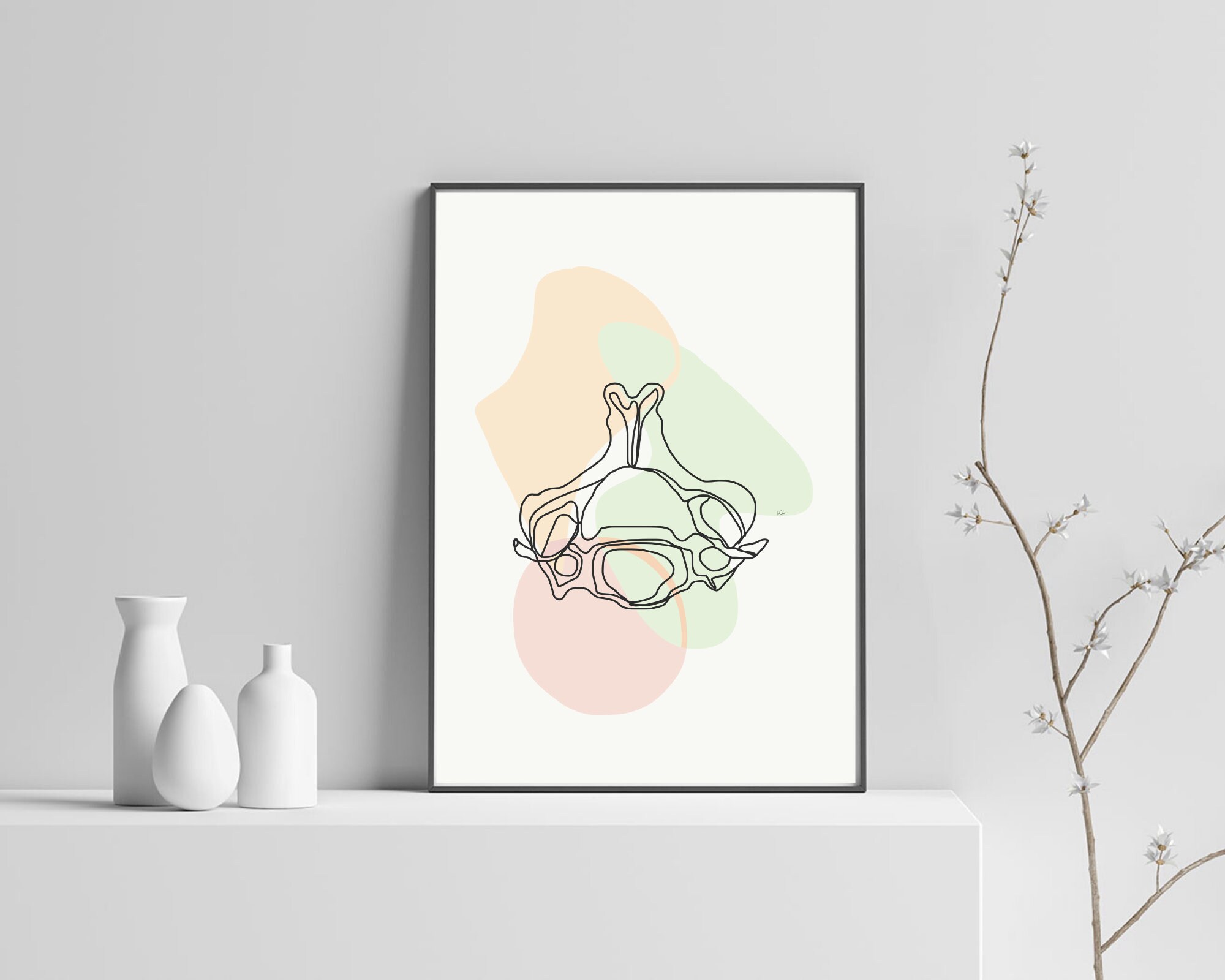 Cervical Spine Vertebra Bone | Line Art | Anatomy Drawing | Minimalist ...