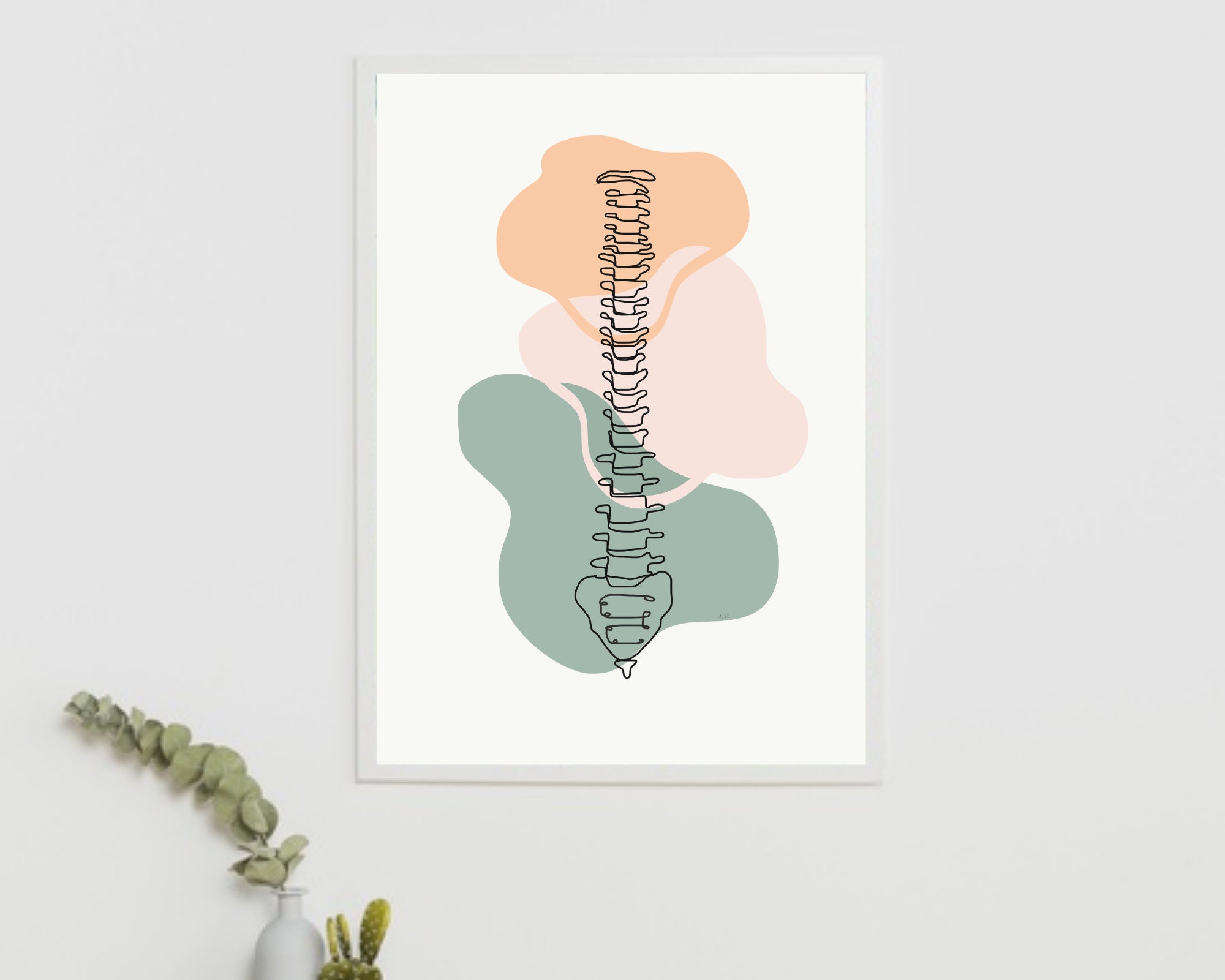 Full Spine Front View | Spinal Column Line Anatomy Drawing Minimalist ...