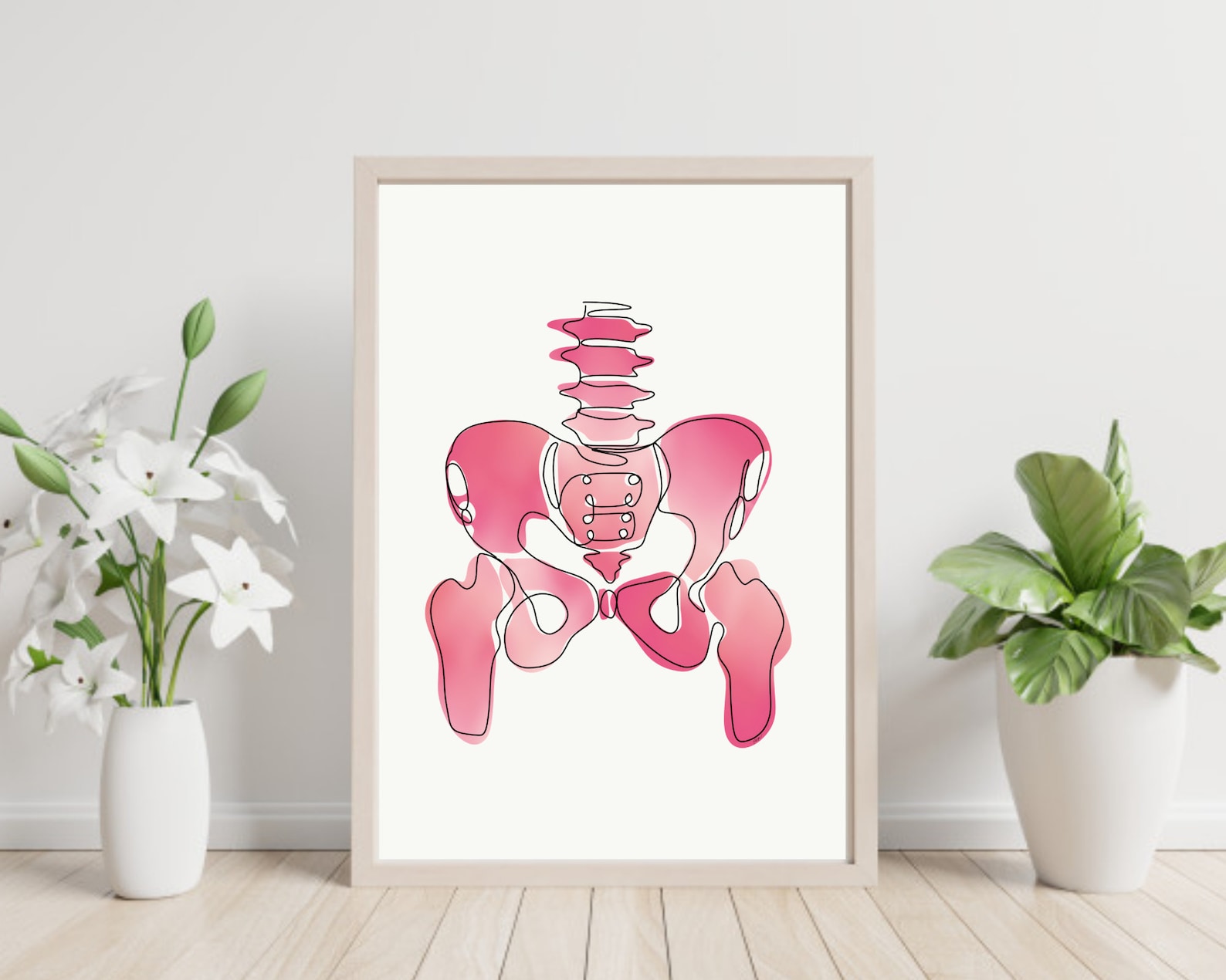 Pelvic Bone Tie Dye | Pelvis Spine Anatomy Line Art Illustrations ...