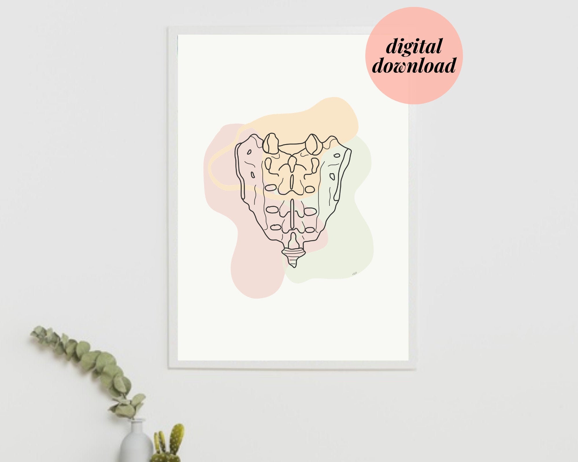 Sacrum Spine Anatomy Drawing | Sacral Coccyx | Abstract Illustrations ...
