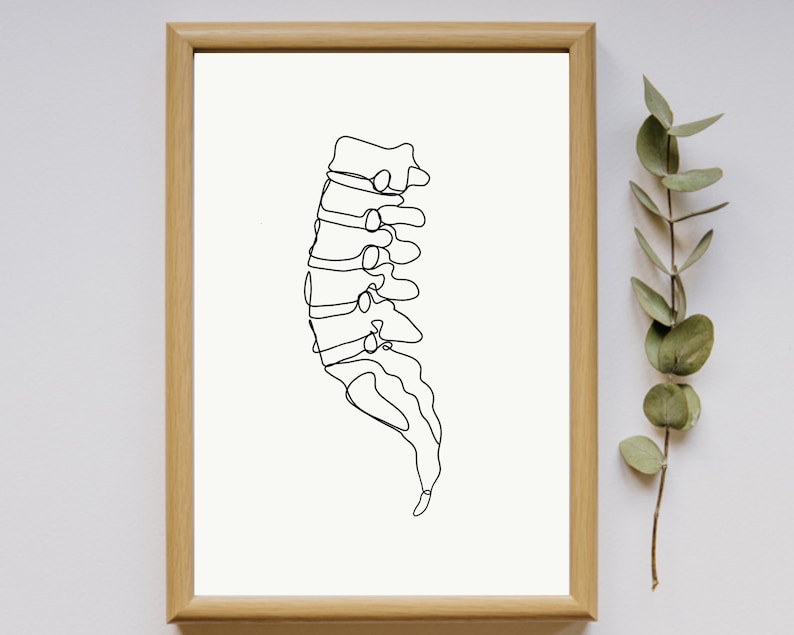 Lumbar Lateral View Minimal Anatomical | Line Anatomy Drawing ...