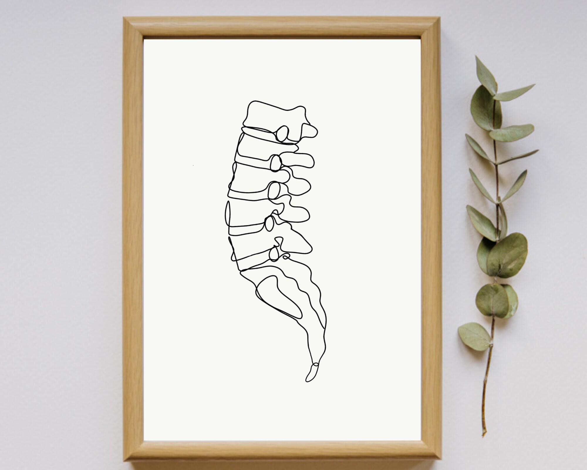 Lumbar Lateral View Minimal Anatomical Line Anatomy Drawing Minimalist ...