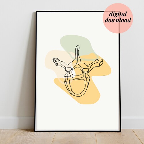 Thoracic Spine Vertebra Bone Human Anatomy Vertebrae Drawing - Etsy