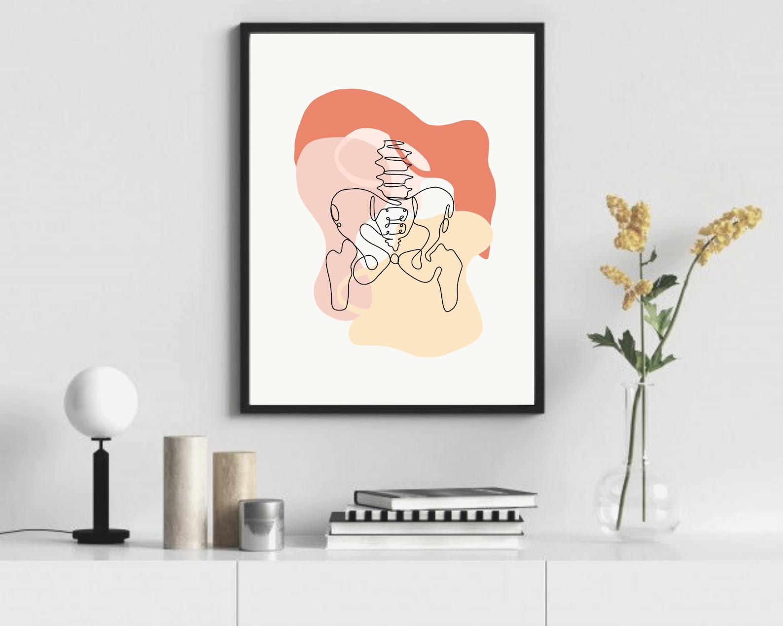 Pelvis Printable Updated Pelvic Bone | Line Art Anatomy Illustration ...