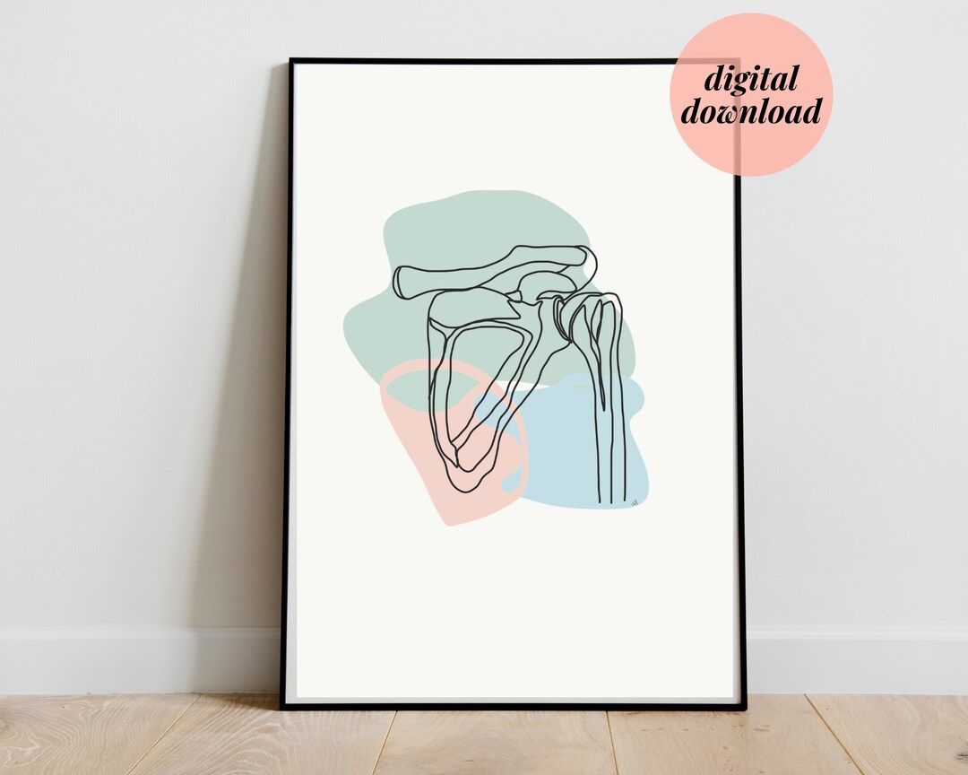 Shoulder Printables | Shoulder Blade Scapula Line Art Anatomy ...