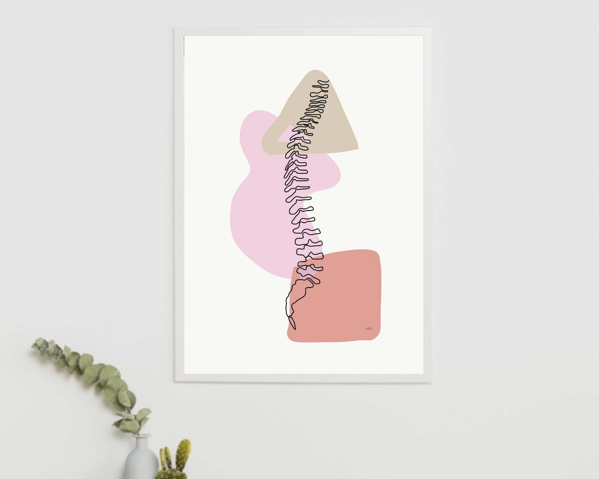 Full Spine View Anatomy Drawing Spinal Column Line Art - Etsy