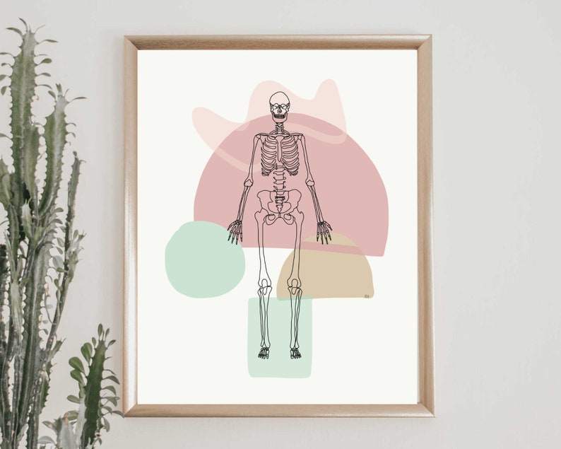 Skeleton Bones Full Skeletal Line Art Anatomy Drawing - Etsy