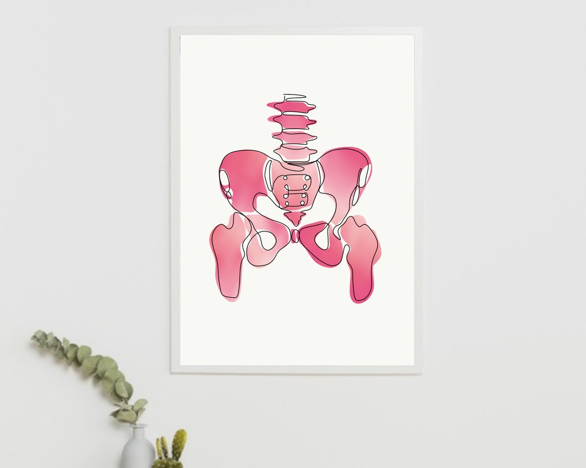 Pelvic Bone Tie Dye | Pelvis Spine Anatomy Line Art Illustrations ...