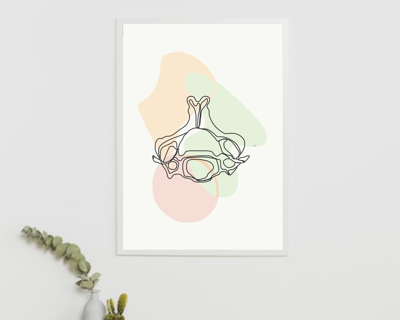 Cervical Spine Vertebra Bone | Line Art | Anatomy Drawing | Minimalist ...