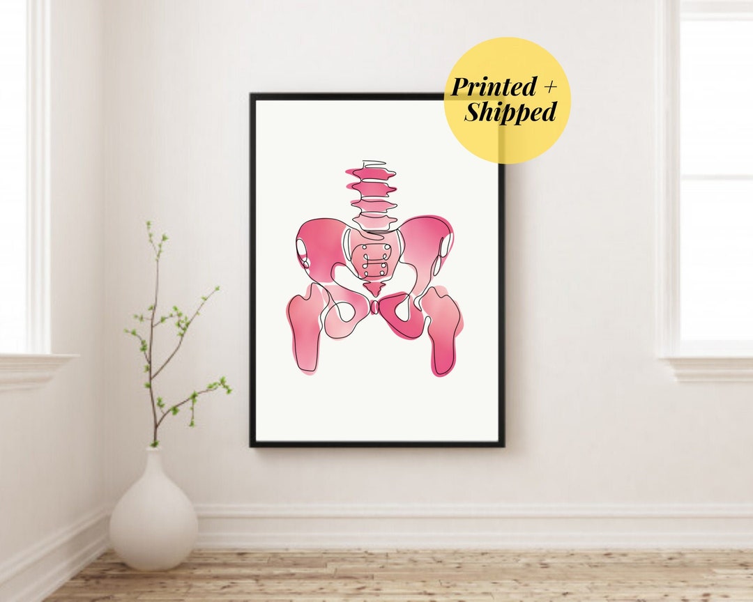 Pelvic Bone Tie Dye | Pelvis Spine Anatomy Line Art Illustrations ...