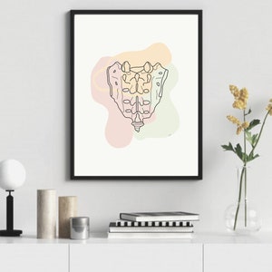 Sacrum Spine Anatomy Drawing | Sacral Coccyx | Abstract Illustrations ...
