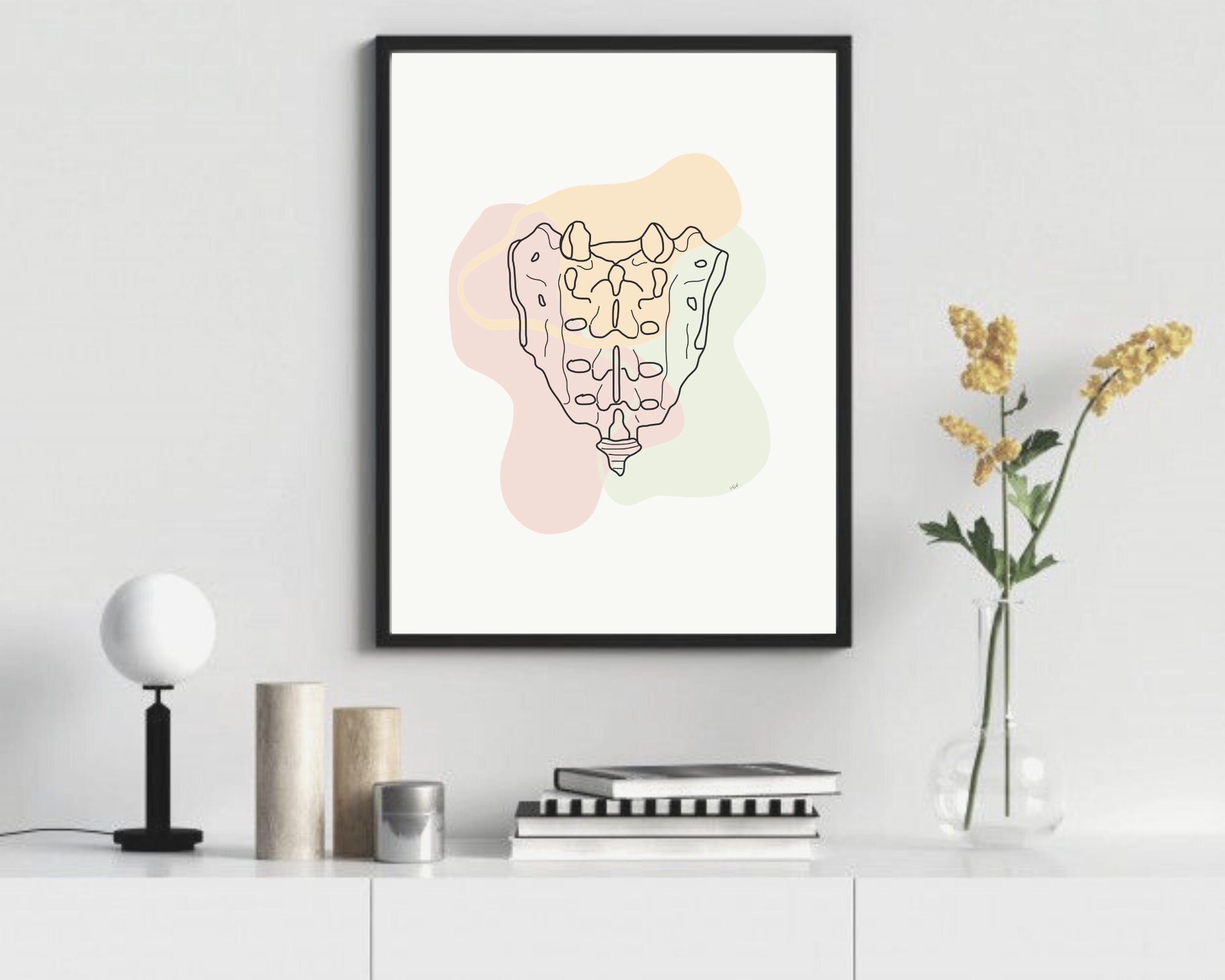 Sacrum Spine Anatomy Drawing | Sacral Coccyx | Abstract Illustrations ...