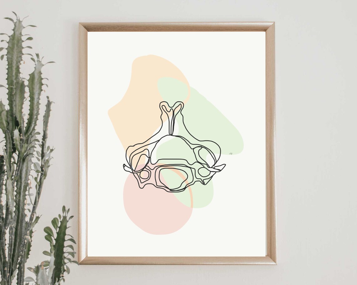 Cervical Spine Vertebra Bone | Line Art | Anatomy Drawing | Minimalist ...