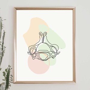 Cervical Spine Vertebra Bone | Line Art | Anatomy Drawing | Minimalist ...