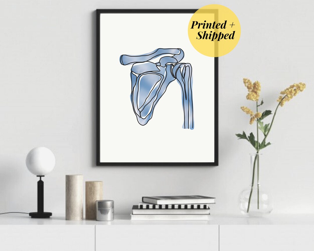 Blue Shoulder Scapula Minimal Anatomy | Human Anatomical Line ...