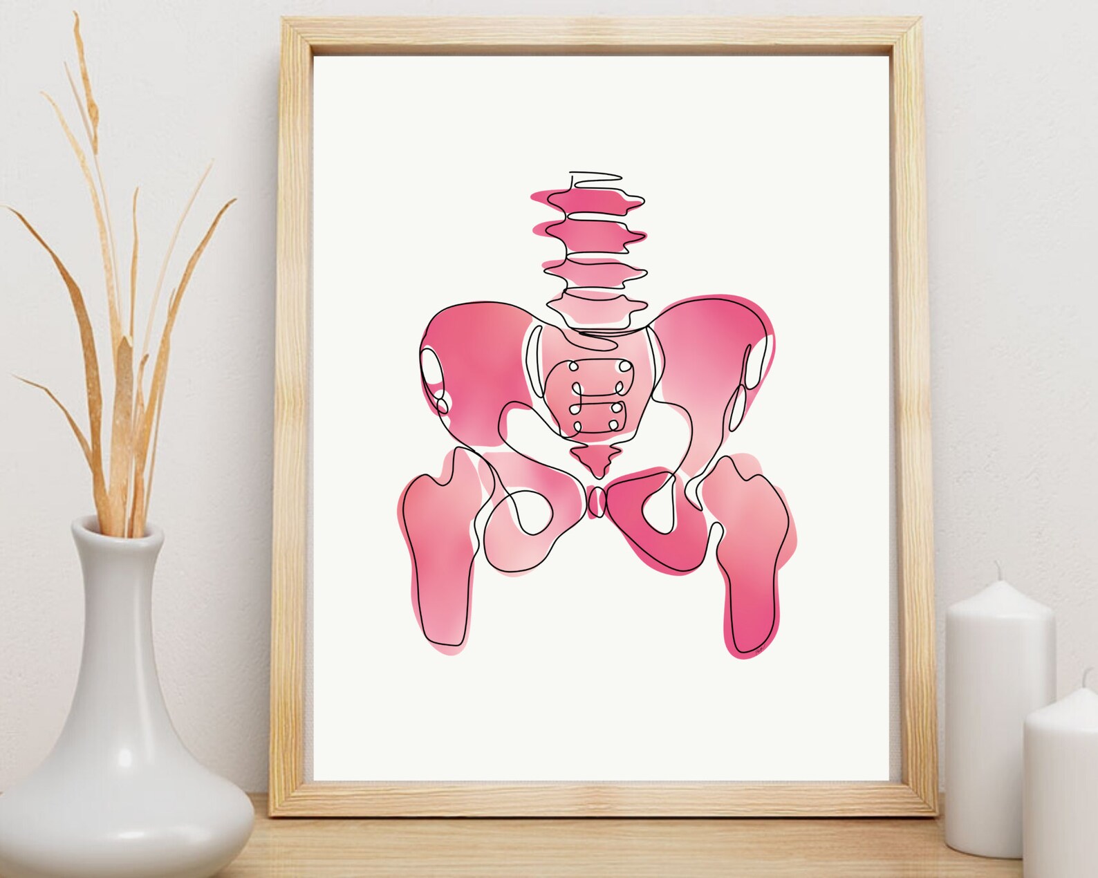 Pelvic Bone Tie Dye | Pelvis Spine Anatomy Line Art Illustrations ...