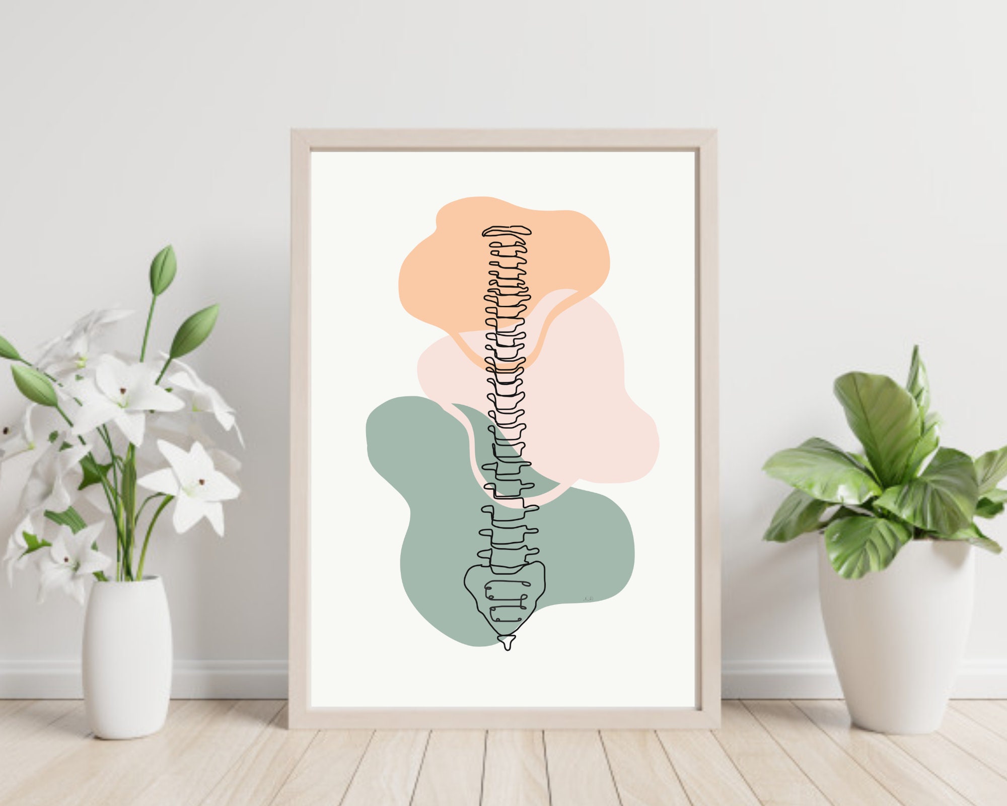Spine Full Front View | Anatomy Minimal Abstract Art Print Medical Wall ...