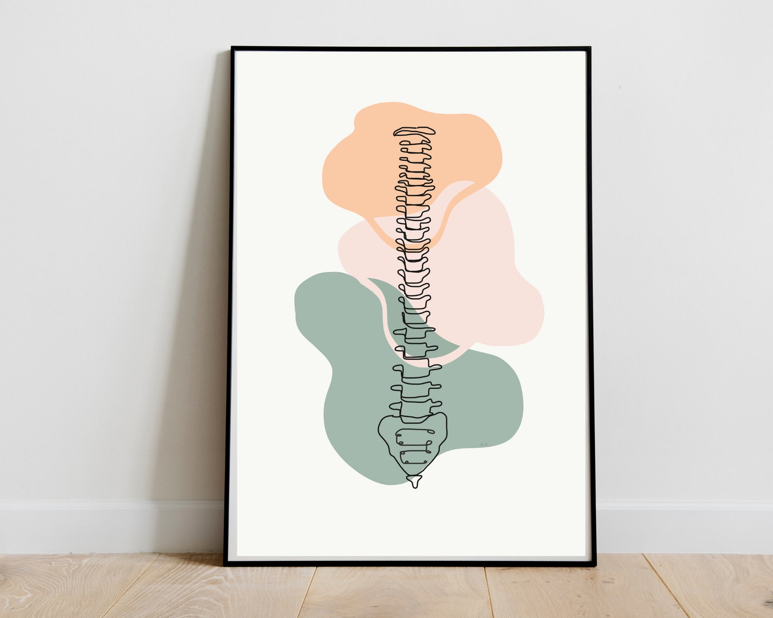 Full Spine Front View | Spinal Column Line Anatomy Drawing Minimalist ...