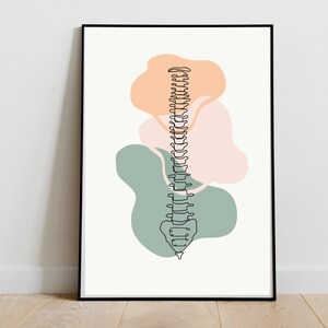Full Spine Front View | Spinal Column Line Anatomy Drawing Minimalist ...