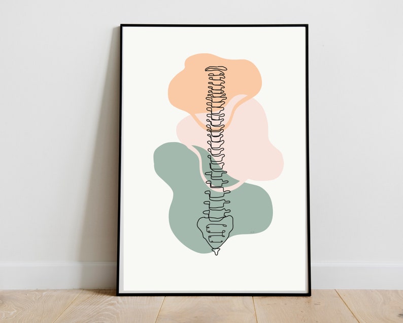 Full Spine Front View Spinal Column Line Anatomy Drawing - Etsy Canada