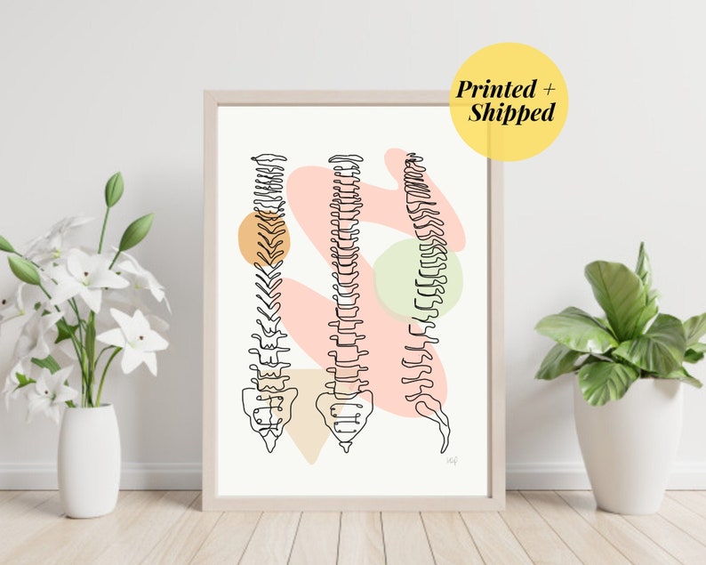 Spine Views 3 | Anatomy Prints Drawing Minimal Abstract Line Art Spinal ...