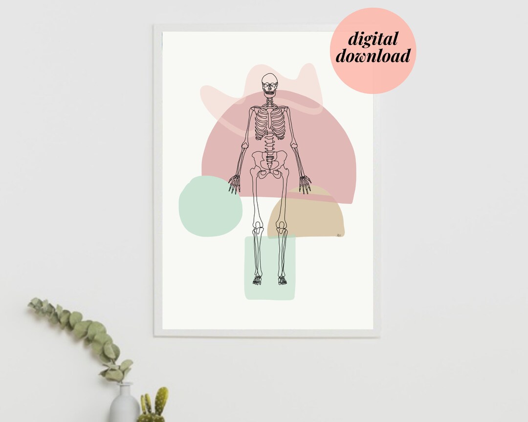 Skeleton Bones Full | Skeletal Line Art | Anatomy Drawing | Minimal ...