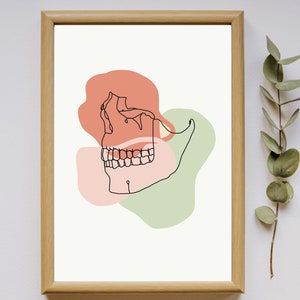 Jaw Mandible Side View Anatomy Illustration Line Art Minimalist ...