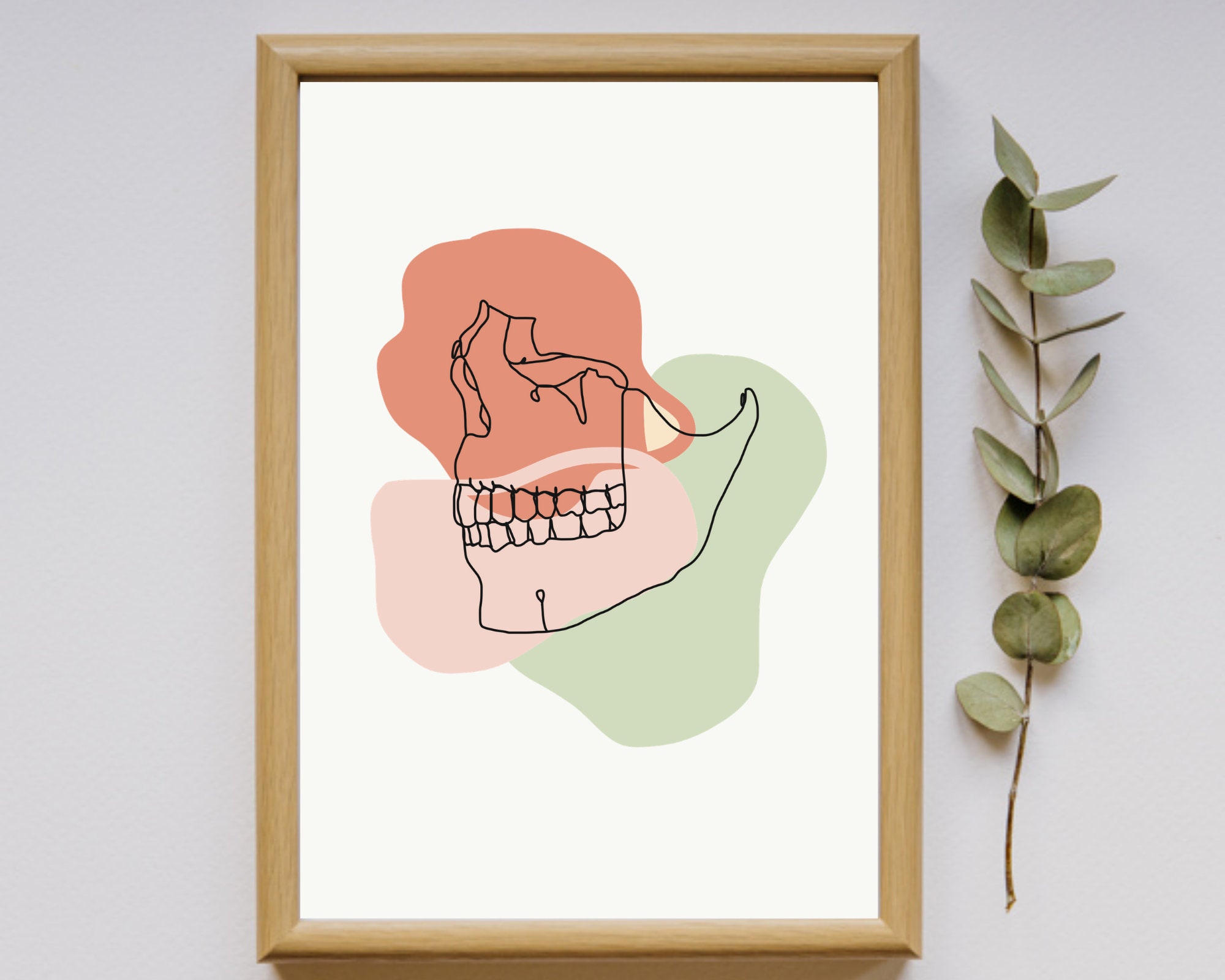 Jaw Mandible Side View | Anatomy Illustration Line Art | Minimalist ...